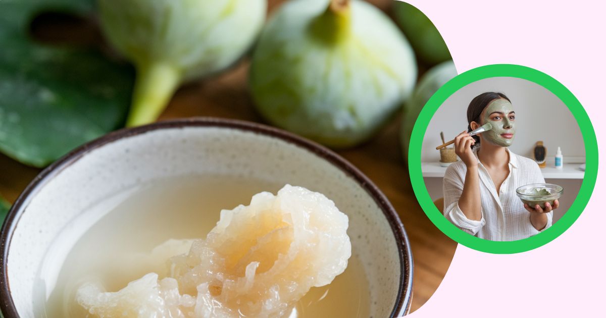 The Natural Power of Using Fig Sap For Skin Healing and Care